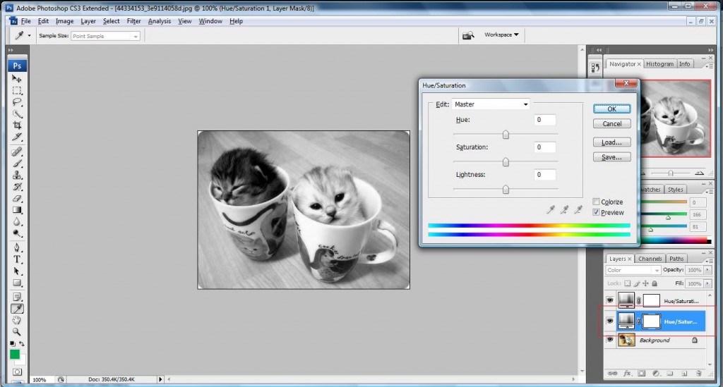 Tutorial: How to change your color image to black and white - Hungred ...