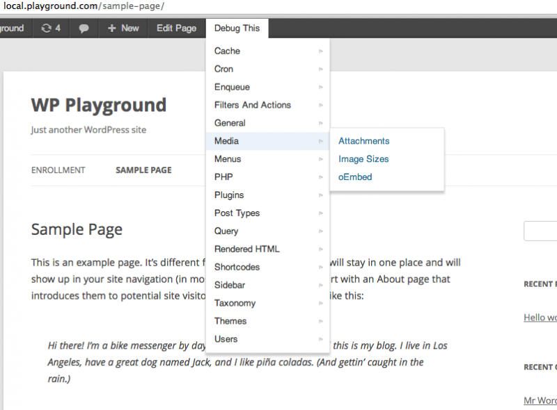 Top 13 Plugins for debugging Wordpress problems - Hungred Dot Com